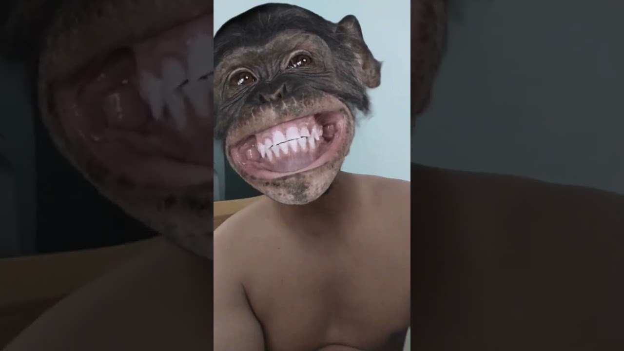 cara de mono