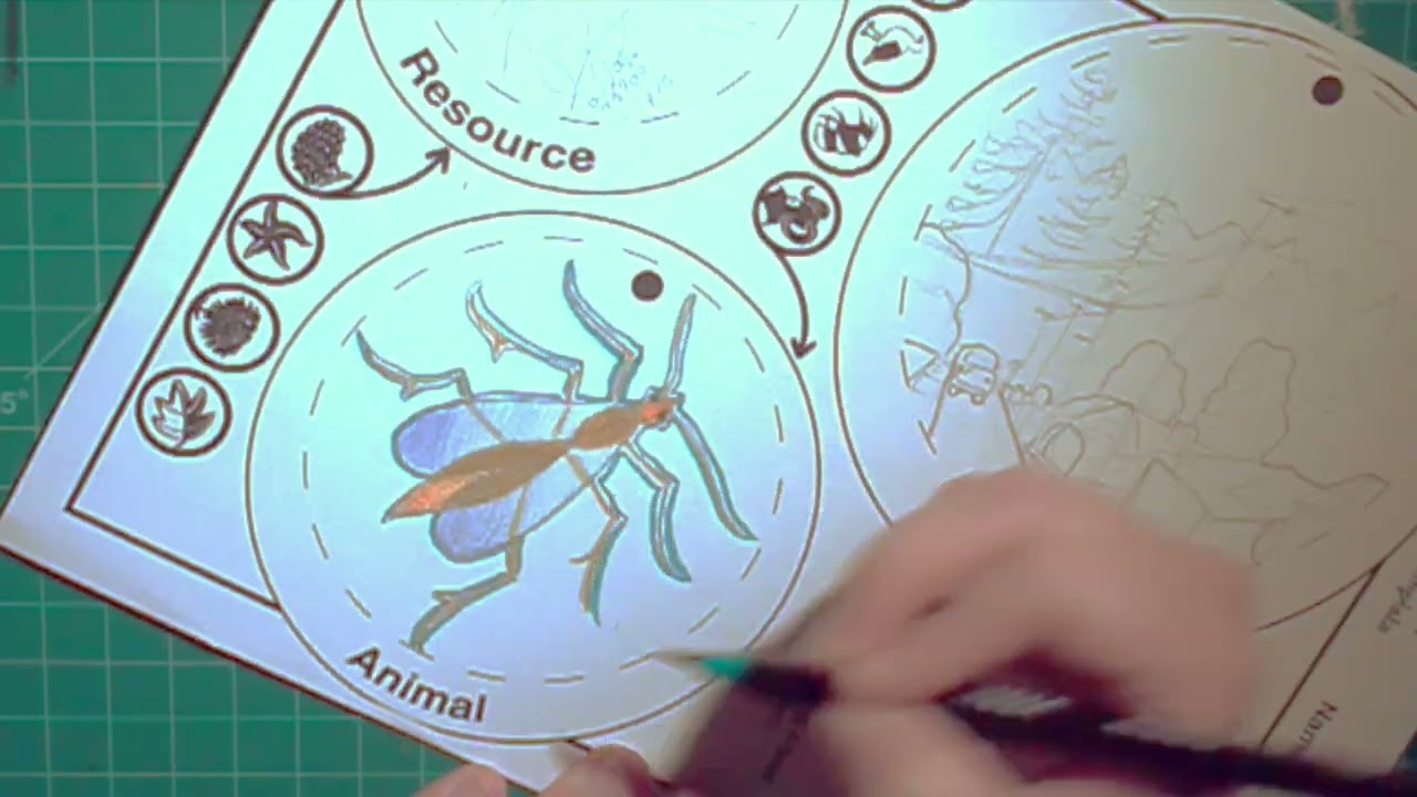 ArtSEL TK 2nd: Drawing to Discover   Template Instruction