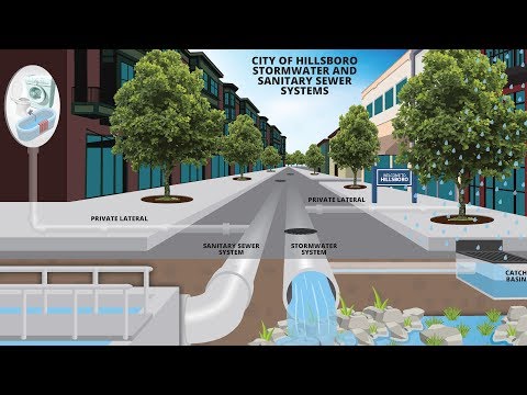 Hillsboro's Stormwater System: How It Works & Why It's Important