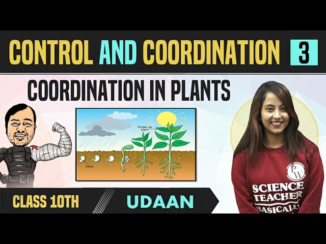 Understanding Control and Coordination in Plants: A Comprehensive Guide ...