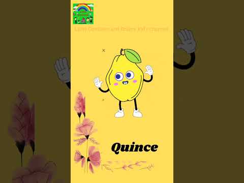 learn New words start with Q for upper class kids