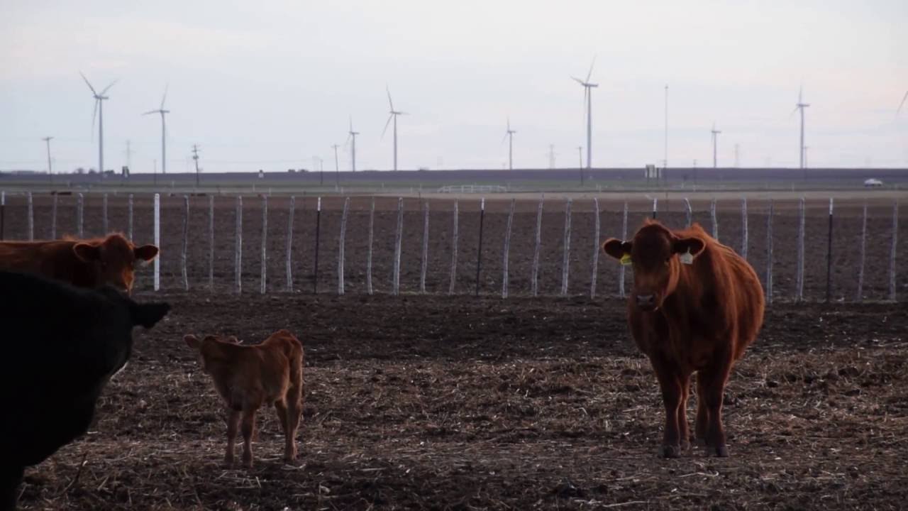 AWEA Wind Power 101: Community Benefits