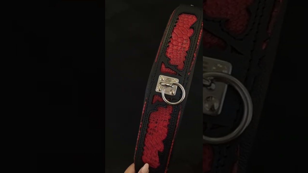 Red Dragon collar