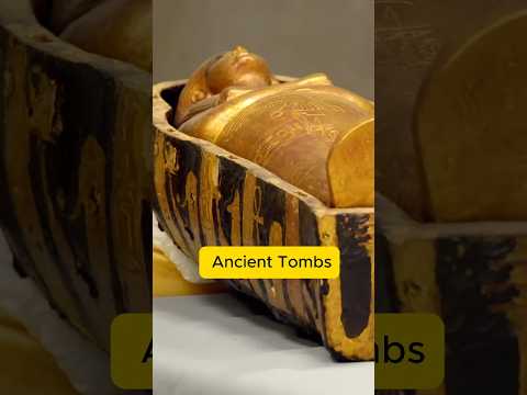 Ancient Egyptian Tombs: Snack-Filled Pantries for the Afterlife!