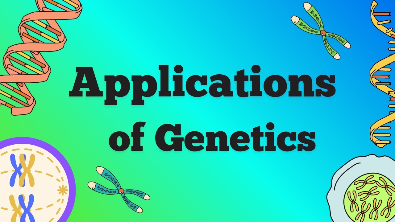 Applications of Genetics: Artificial Breeding, Genetic Engineering, Gene Therapy & Cloning
