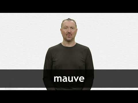 English Translation of “MAUVE” | Collins French-English Dictionary