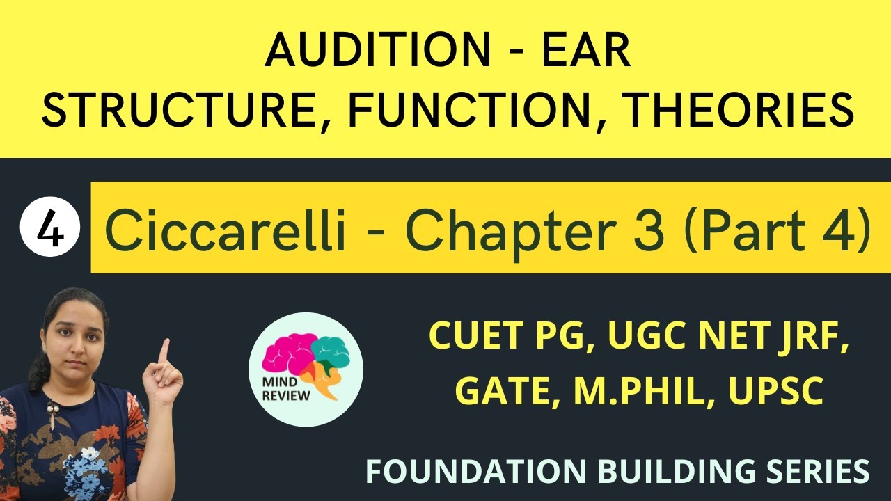 Understanding Audition: The Structure of the Ear and Sound Waves ...