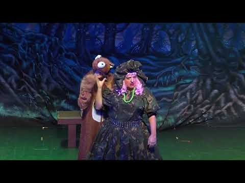 Gary Abraham Panto Dame Showreel