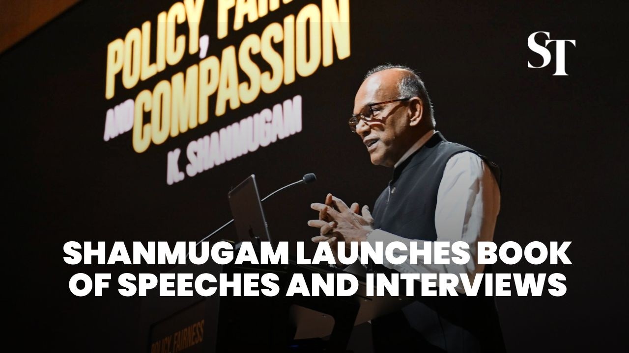 My views might be useful to someone trying to make sense of this period: Shanmugam