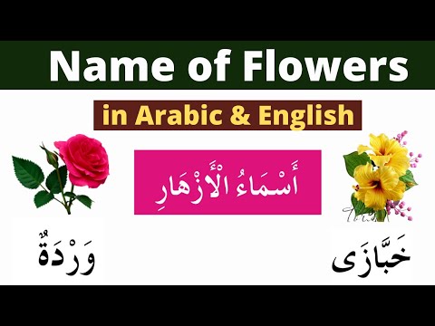 Name of Flowers in Arabic. Arabic Vocabulary. Learn Arabic with Salim Qasmi.