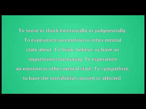 feel meaning in English
