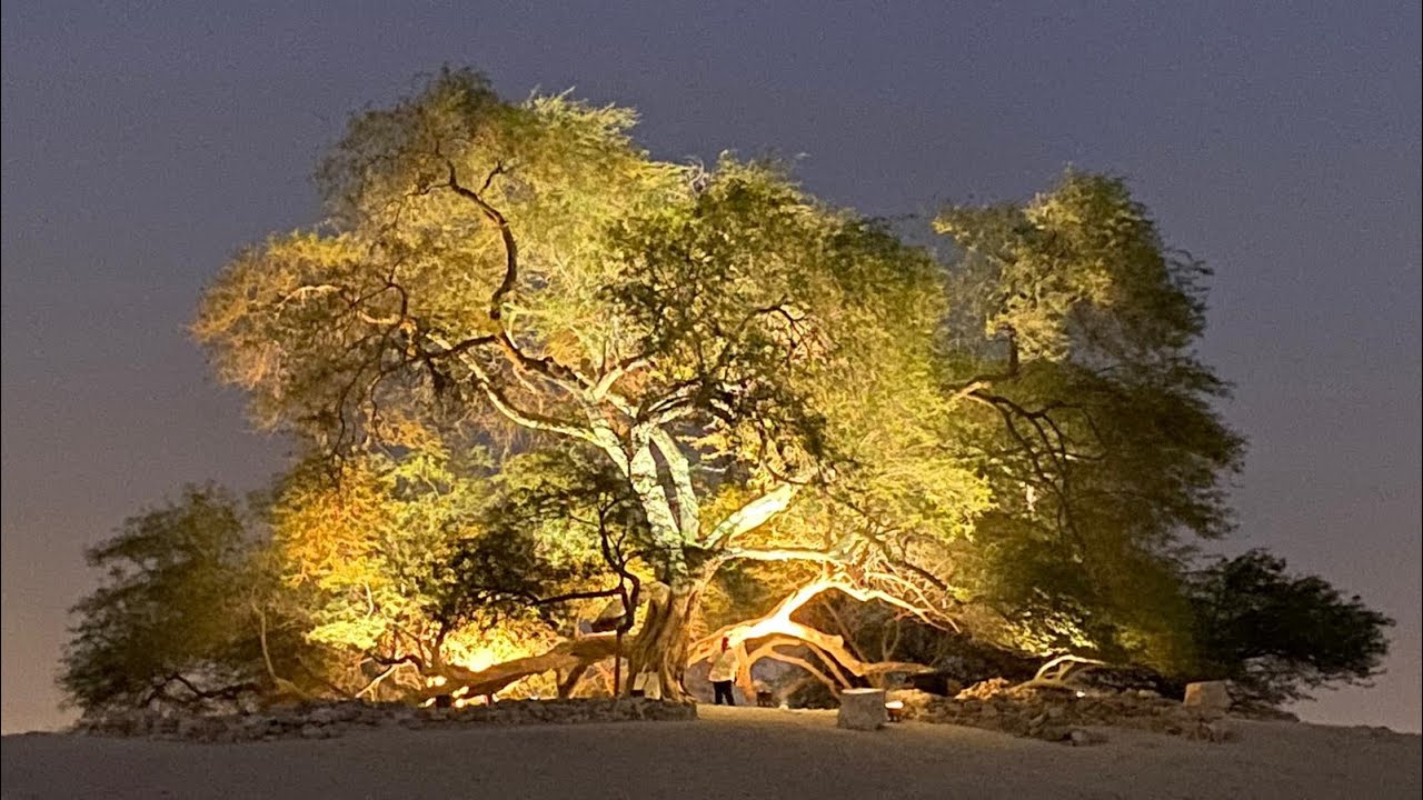 Tree of Life / Bahrain, A tree of Legend?