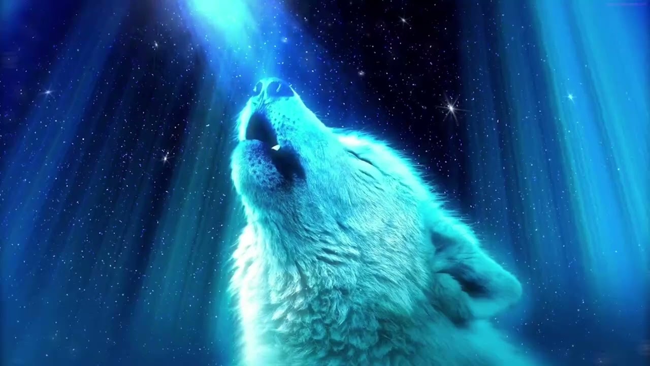 Wolf live wallpapers 4K