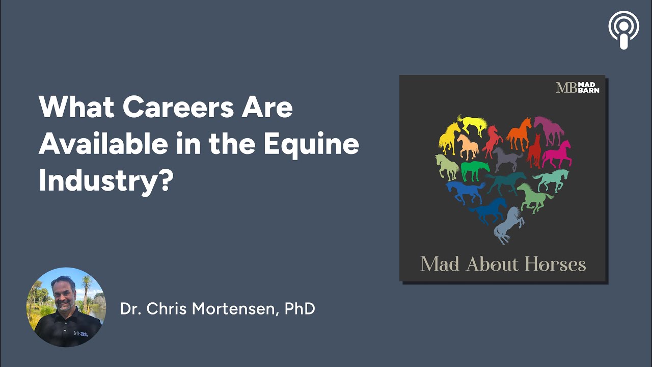 What Careers Are Available in the Equine Industry?