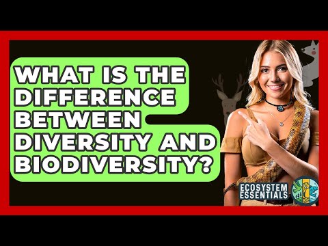 What Is The Difference Between Diversity And Biodiversity? - Ecosystem Essentials