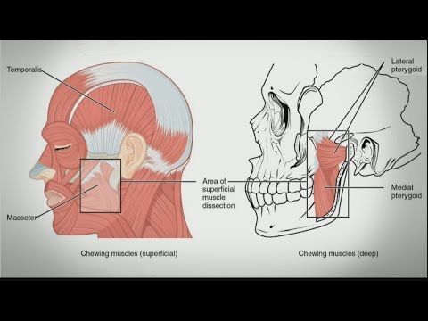 Daytime: Crown Point Dental Care