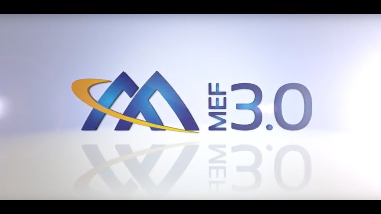 MEF 3.0 Overview MEF 3.0 Overview