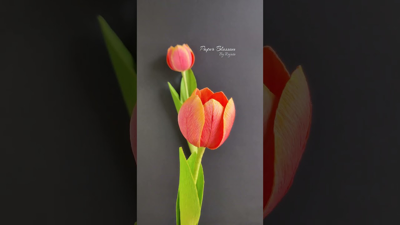 Paper Tulips #flower #handmade #papercraft #paperflowers #craft #handcrafted #paperflower