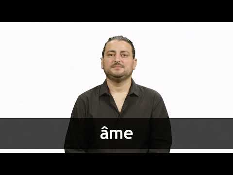 English Translation of “ÂME” | Collins French-English Dictionary