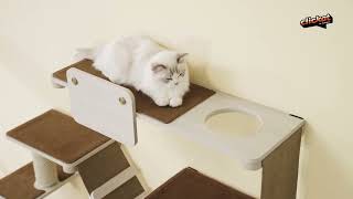 FEANDREA Clickat Katzenbrett groß, Wandmontage | FRESSNAPF