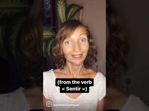 🇫🇷 1 PRONUNCIATION : 4 different meanings !!!! 😱