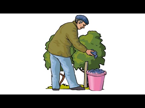 American Sign Language ASL Video Dictionary - harvest