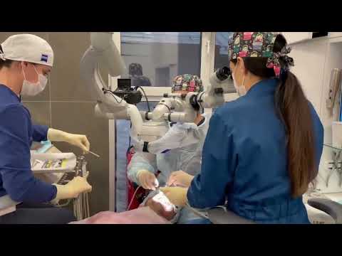 Эргономика микрохирургической операции - видео на ресурсе Belodent