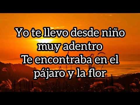 Como no creer en Dios - Wilkins (letra)