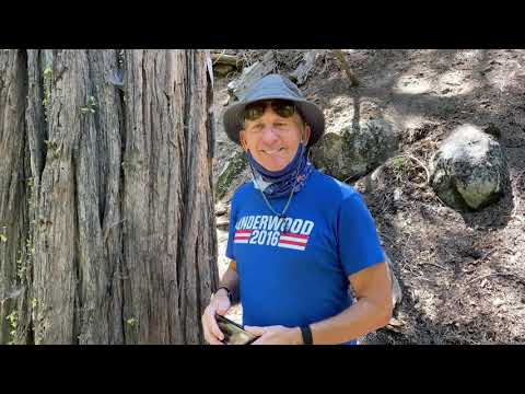 Idyllwild Camping Trip