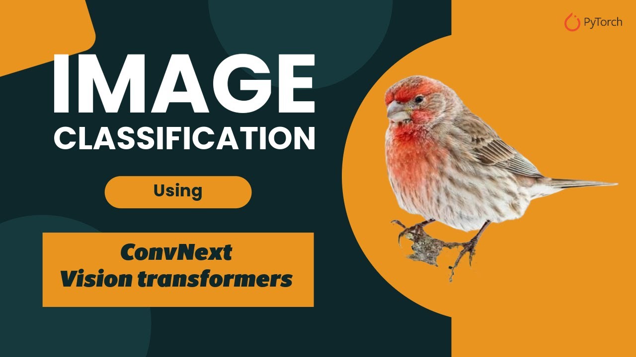 Image Classification using ConvNext | Image transformers tutorial