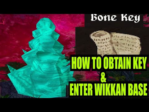 Steam Community :: Video :: Dread Delusion - Wikkan Bone Key Location