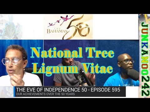 What is the National Tree of the Bahamas and how do you pronounce it ?