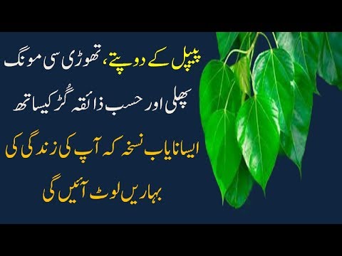 8 health benefits of the peepal tree that you had no idea about