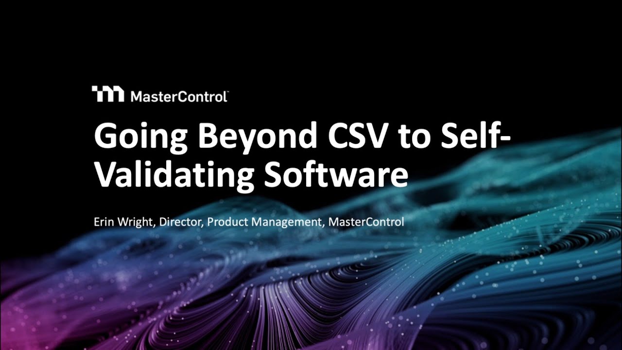 Going Beyond CSV to Self Validating Software