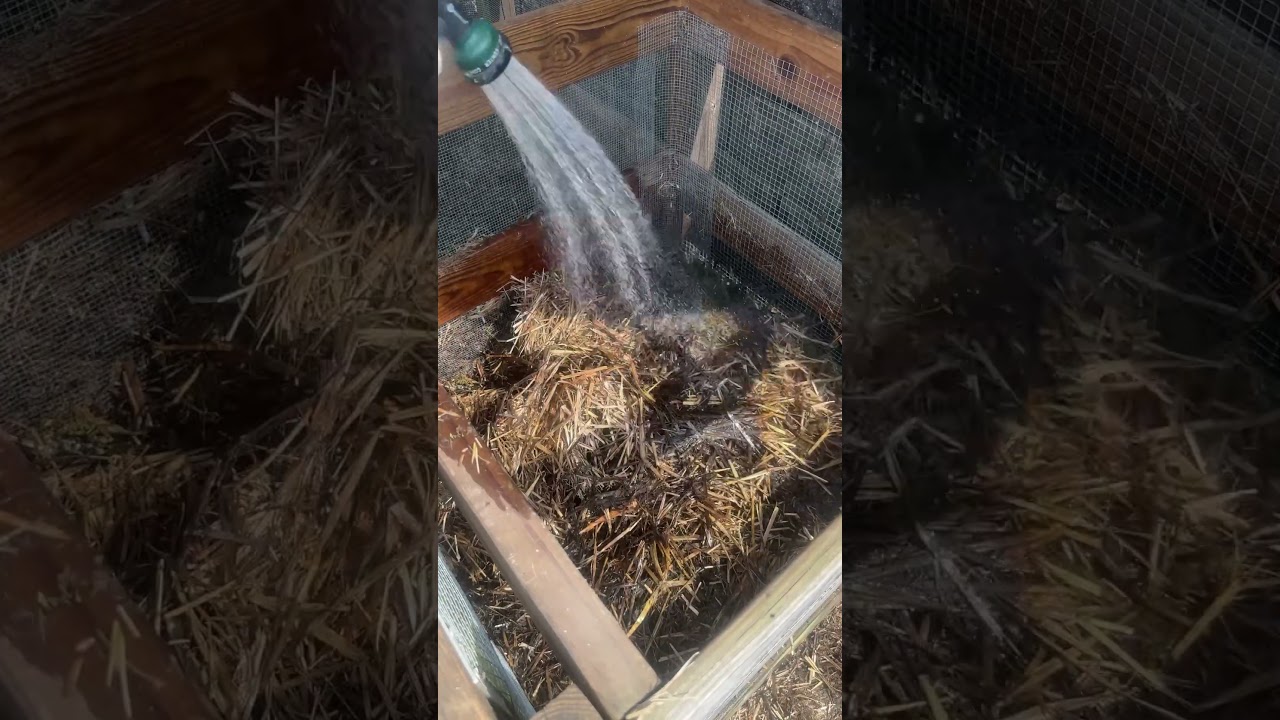 How To Start a New Compost Pile #composting