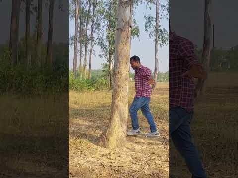 How did he did that ?