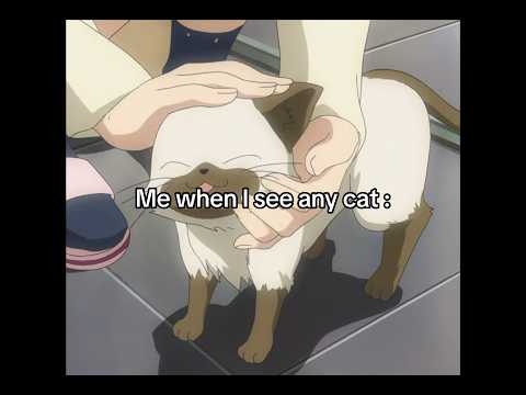 Akiko Minase Pets Piro The Siamese Cat! - Kanon (2006) #anime