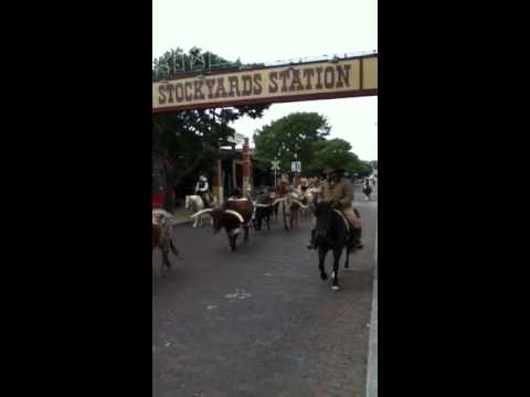 Stockyards Tradition - Ft Worth,TX