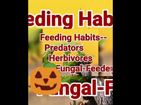 Does Arthropods eats Arthropods? Shocking- "Fighter and Eater" Simultaneously.....