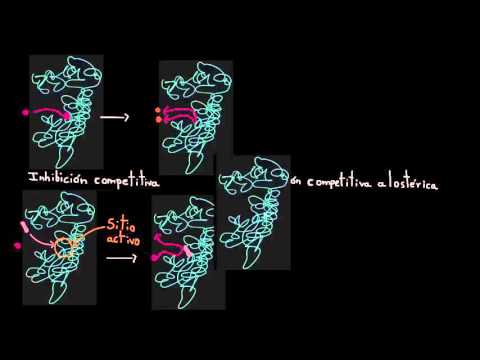 Inhibición competitiva (video) | Khan Academy