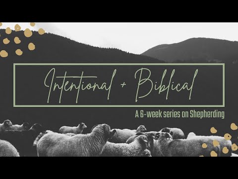 What is Biblical Shepherding