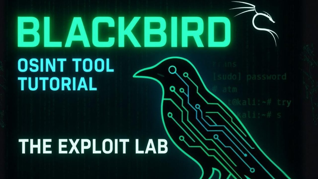 Blackbird OSINT Tool - Complete Kali Linux Tutorial | The Exploit Lab