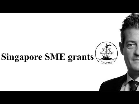 Singapore SME grants