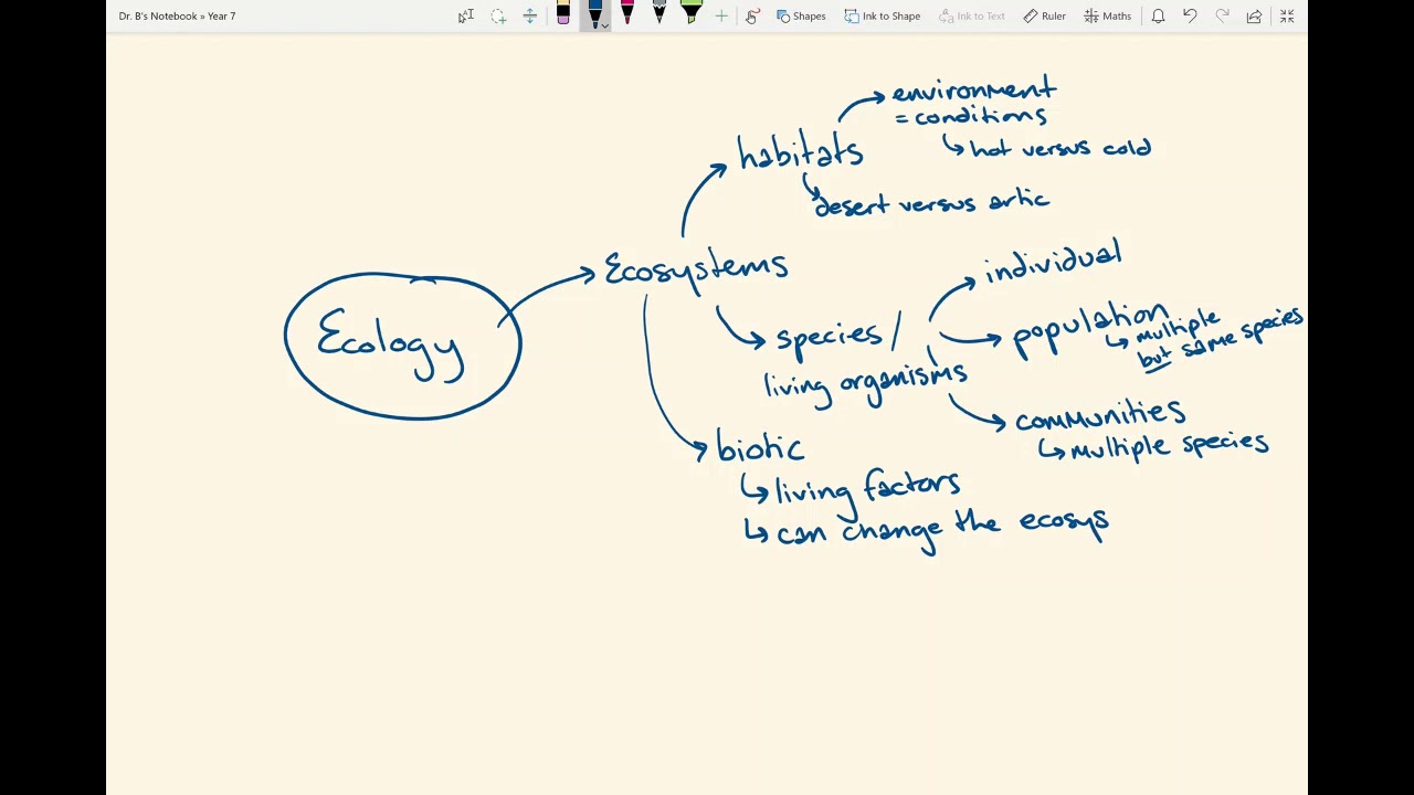 Y7 Ecology Mind Map