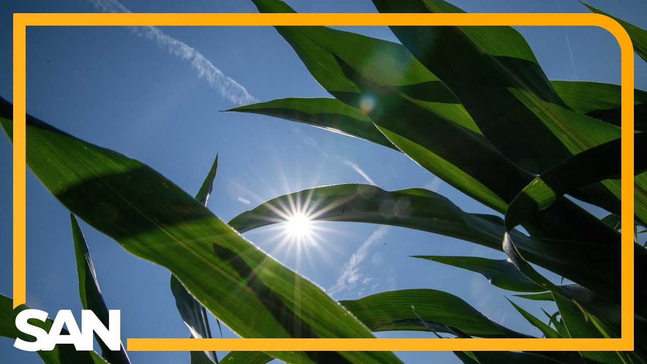 Study looks at if US farmland is better used for corn ethanol or solar power