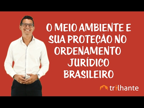 O Meio Ambiente e sua Proteção no Ordenamento Jurídico Brasileiro - Crimes Ambientais