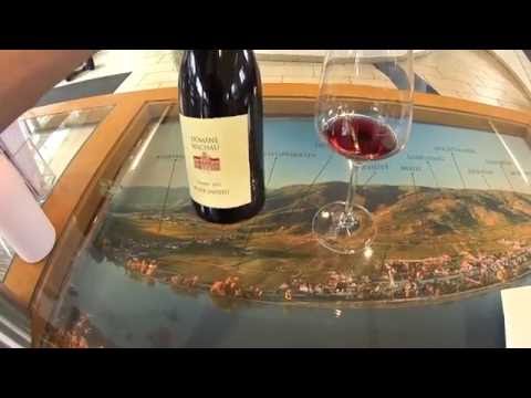Durnstein Walkabout, Domaine Wachau Winery