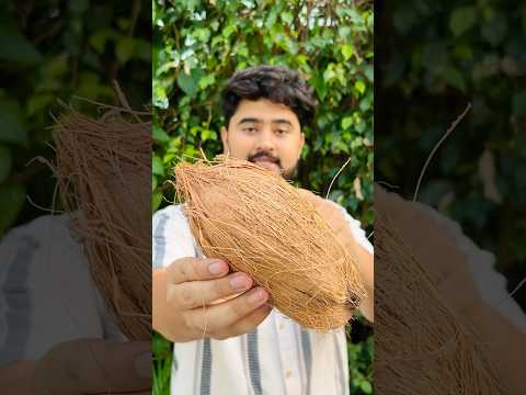 Homemade coconut milk recipe