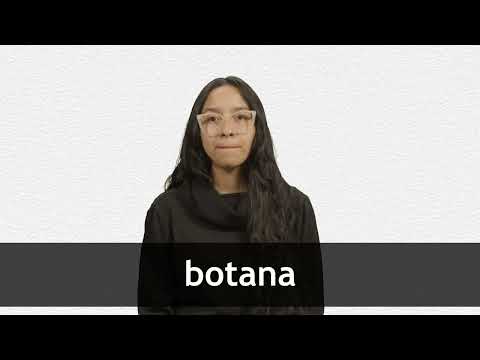English Translation of “BOTANA” | Collins Spanish-English Dictionary