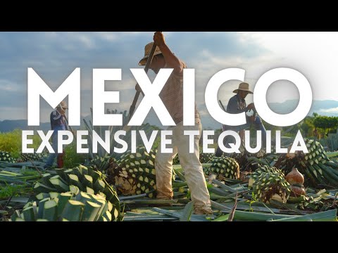 Drinking Expensive Tequila with Locals in Mexico